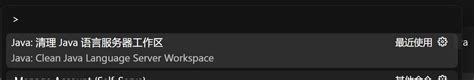 解决vscode中java顽固编译错误的终极技巧：清理语言服务器工作区java Clean Java Language Server