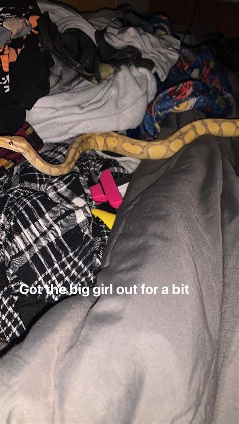 This Is My Bp I Was Told She Was A Banana Something Else Idk And The Person I Got Her From