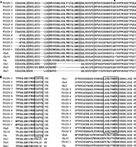 Sequence Alignment Of The N Terminal And C Terminal Domains Of All