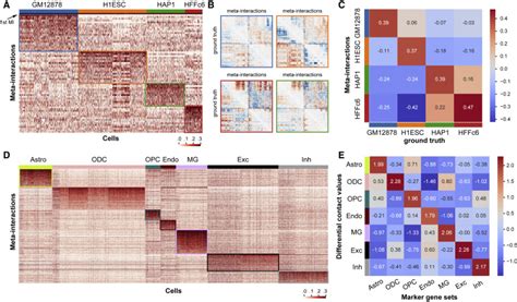 Ultrafast And Interpretable Single Cell 3d Genome Analysis With Fast Higashi Cell Systems