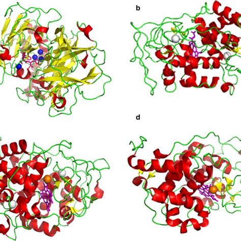 Pdf Depolymerization And Conversion Of Lignin To Value Added Bioproducts By Microbial And