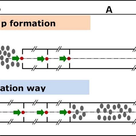 Evacuation Route Confluence And Branch Download Scientific Diagram