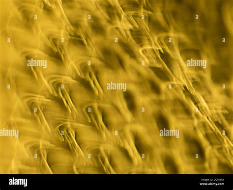 Abstract Honeycomb Hi Res Stock Photography And Images Alamy