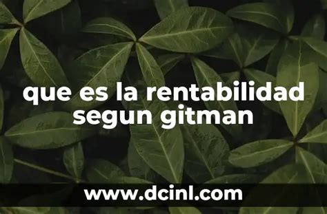 Que Es La Rentabilidad Segun Gitman Significado Ejemplos