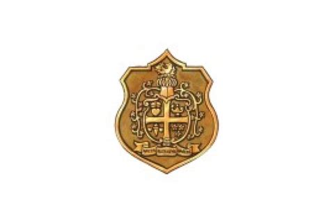Panhellenic Council Sorority Chapters Fraternity And Sorority Life