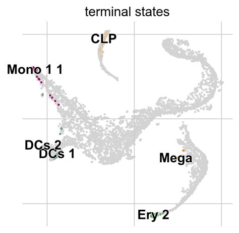 Getting Started With Cellrank Cellrank Documentation