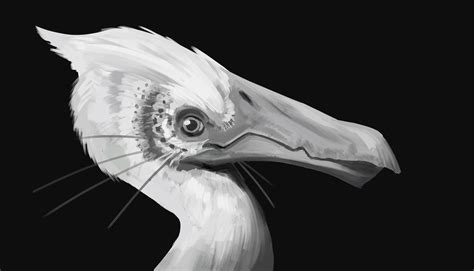 Simon Acty Some Alien Bird Portraits