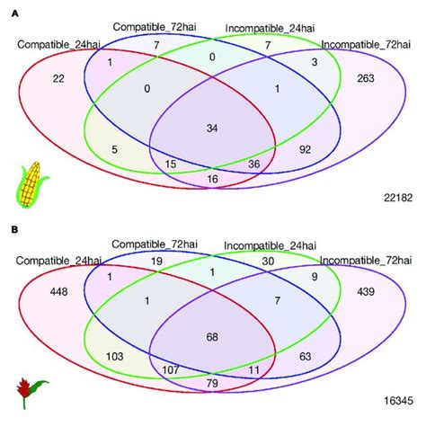 Venn Diagram Of Number Of Differentially Expressed Genes Among Four