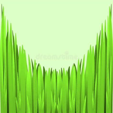 Green Grass Frame Spring 2 Stock Illustration Illustration Of White 207455918