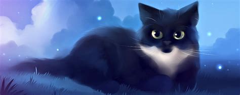 Все любят котиков Подборка клипов с забавными котиками 2025 ВКонтакте