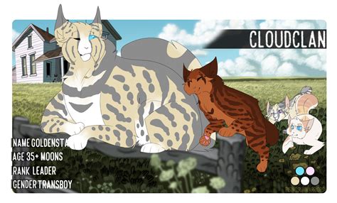 Goldenstar Cloudclan Leader Rsw By Glaceonsky On Deviantart