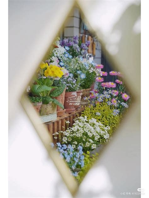 Ghim của juby lin trên By the window Gấu con Ảnh ấn tượng Tượng