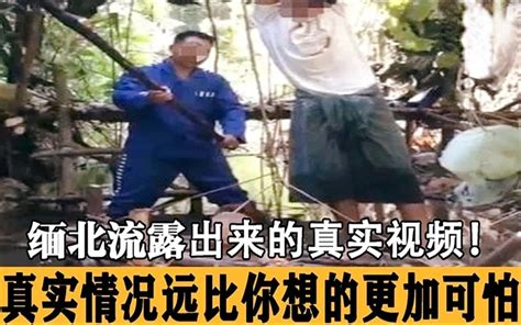 缅北流露出真实影像，电击砍手噶腰子，真实情况比你想的更加可怕！ 哔哩哔哩