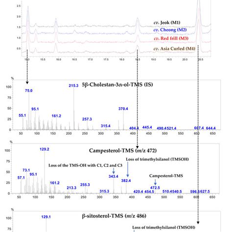 Figure A The Representative Gas Chromatography GC Mass Spectrometry Download Scientific
