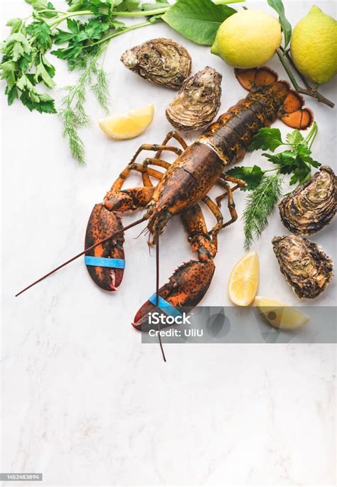 신선한 큰 랍스터와 굴에 요리 재료가 들어 있습니다 레몬 올리브 오일 파슬리 흰색 대리석 배경에 딜 조제 식품 희귀 한 해산물 평면도 복사 공간 날것에 대한 스톡 사진 및