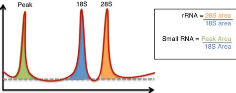 5 Sample Electropherogram Showing Areas Used To Calculate Rrna And