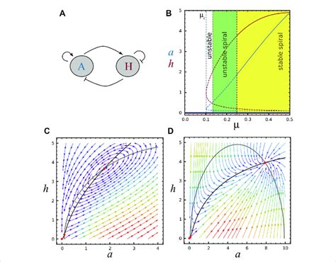 bifurcation diagram and nullclines a schematic representation of the download scientific