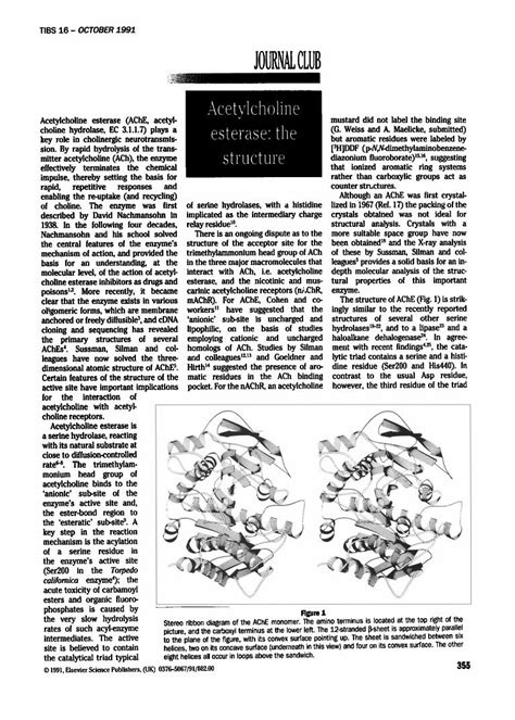 Pdf Acetylcholine Esterase The Structure Dokumentips