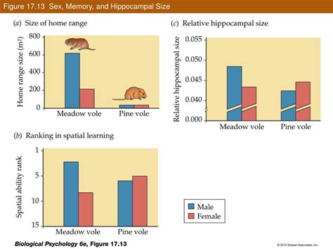 Ppt Part 6 Opener Simultaneous Registration Maps Of Eeg And Functional Mri Powerpoint