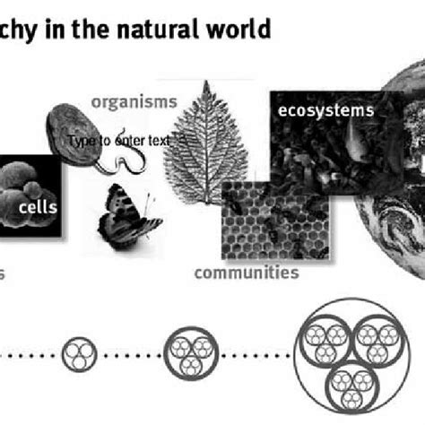 A Simplified Rendition Of Max Neef Et Al S Matrix Of Needs And Related Download Scientific