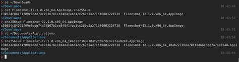 Execv Error No Such File Or Directory · Issue 2764 · Flameshot Orgflameshot · Github