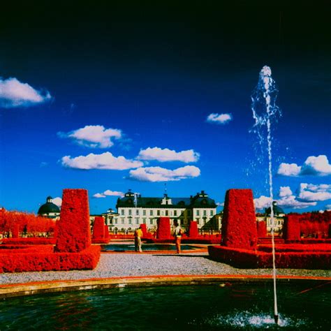 Making The Most Of Kodak Aerochrome