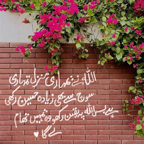 Mohsin Zafar On Linkedin Indeed