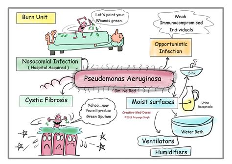 Wound Infection Pseudomonas Aeruginosa At Amy Ammerman Blog