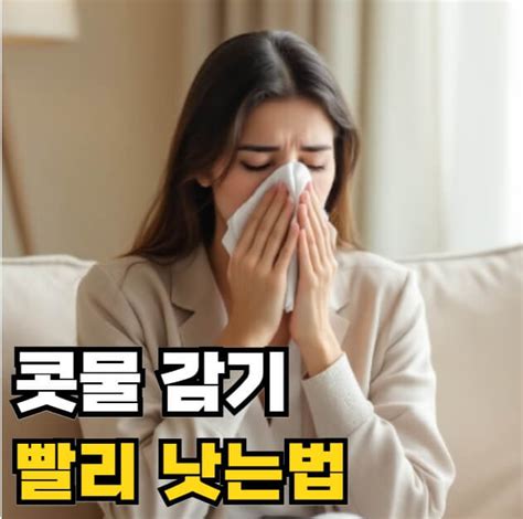콧물 감기 빨리 낫는법 9가지