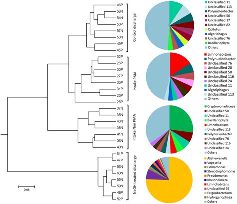 A Upgma Tree Constructed Using Weighted Unifrac Distance Matrix Among