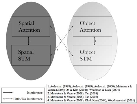 Pdf The Role Of Visual Short Term Memory In Object Based Attentional Selection Semantic Scholar