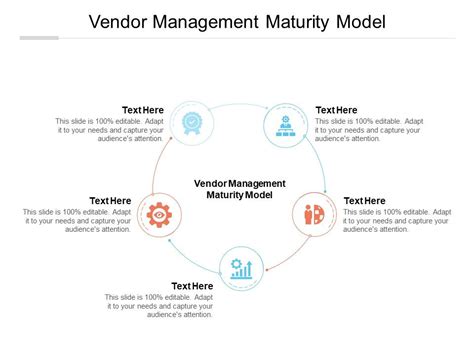 Vendor Management Maturity Model Ppt Powerpoint Presentation Styles Example