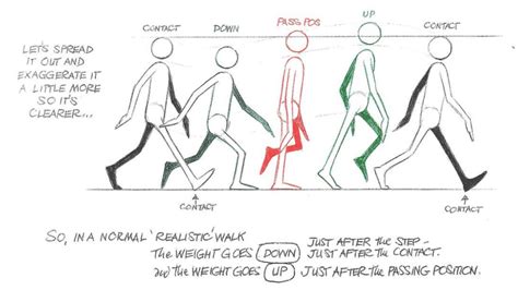 Walk Cycle Walking Animation Animation Reference How To Do Animation