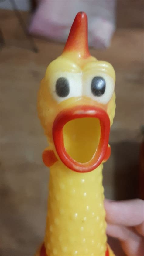 Create Meme Toy Toys Rubber Rubber Chicken Pictures Meme