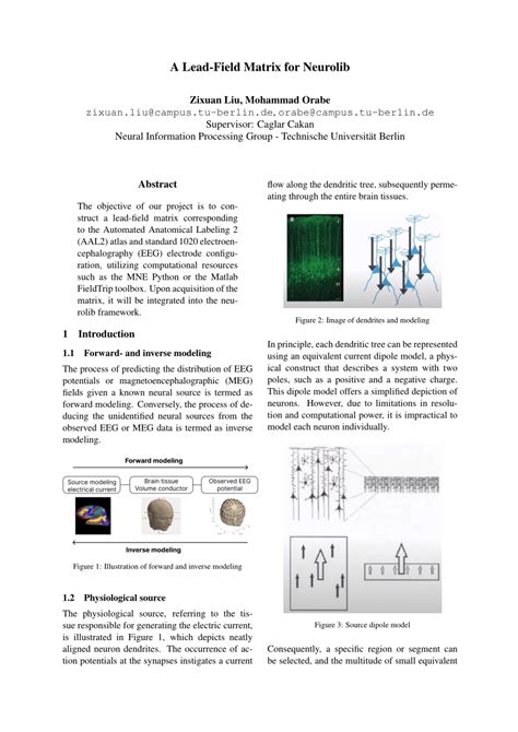 PDF Computation Of The Lead Field Matrix