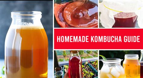 Solids In Kombucha At Sally Seim Blog