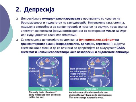 Растителни дроги и природни производи третманот на Ppt Download
