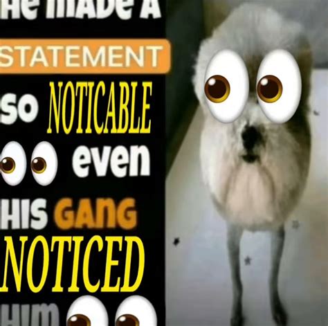 He Made A Statement So Noticeable Even His Gang Noticed Him Know Your