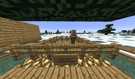 Tiny Town Minecraft Map