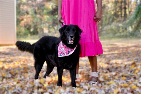 Untitled Dianna Flickr