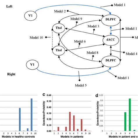 Effective Connectivity Analysis Dynamic Causal Modeling Signi Fi Download Scientific Diagram
