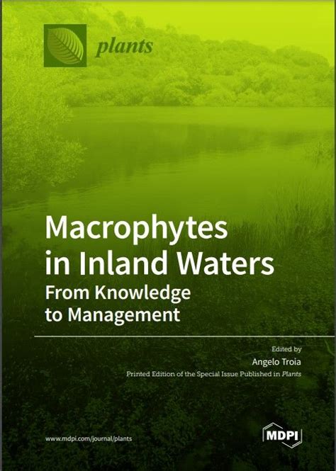 Plants Mdpi On Linkedin Plantsmdpi
