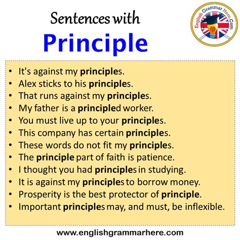 Principle In A Sentence In English Archives English Grammar Here
