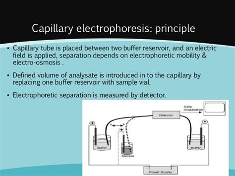 Capillary Electrophoresis Principles And Applications