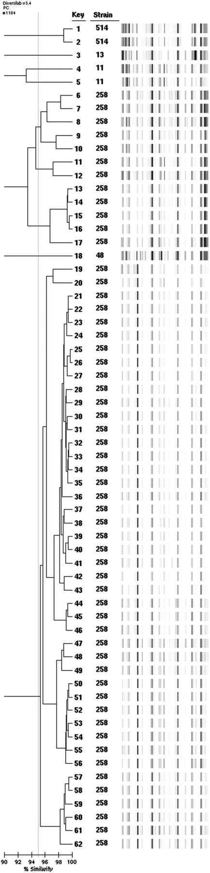 Multilocus Sequence Typing Analysis Of Carbapenem Resistant Klebsiella Download Scientific