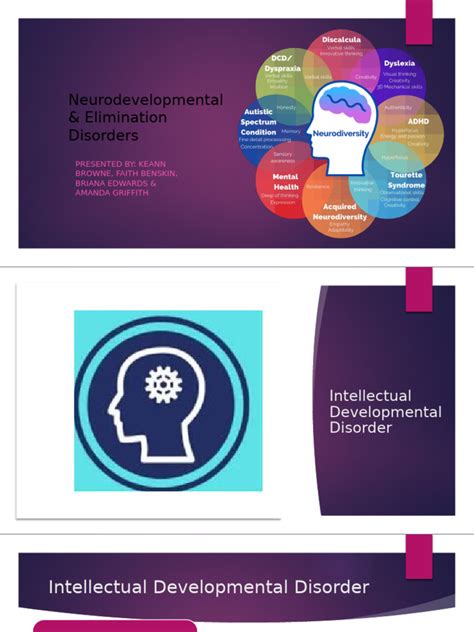 Understanding Intellectual Developmental Disorder Pdf Attention