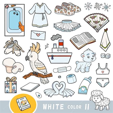 Premium Vector Colorful Set Of White Color Objects Visual Dictionary