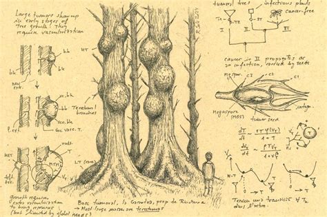 Mathematical Oncology On Linkedin Mathonco Spatial Tumor Dynamics Mathematics Oncology