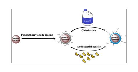 Engineering Of Superparamagnetic Core Shell Iron Oxide N Chloramine Nanoparticles For Water