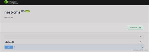 nest js配置快速生成swagger api文档 nestjs swagger post csdn博客